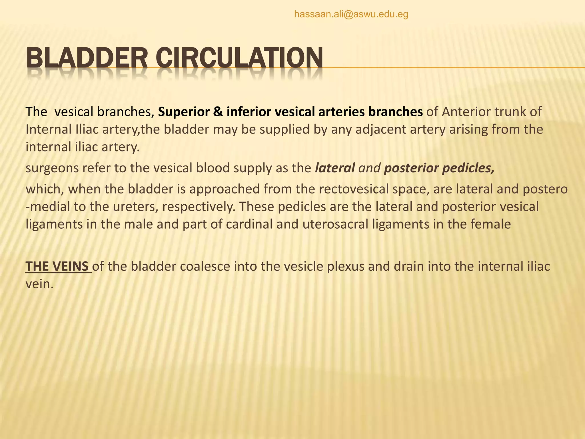 ANATOMY OF THE PELVIC URETER&URINARY BLADDER | PPTX