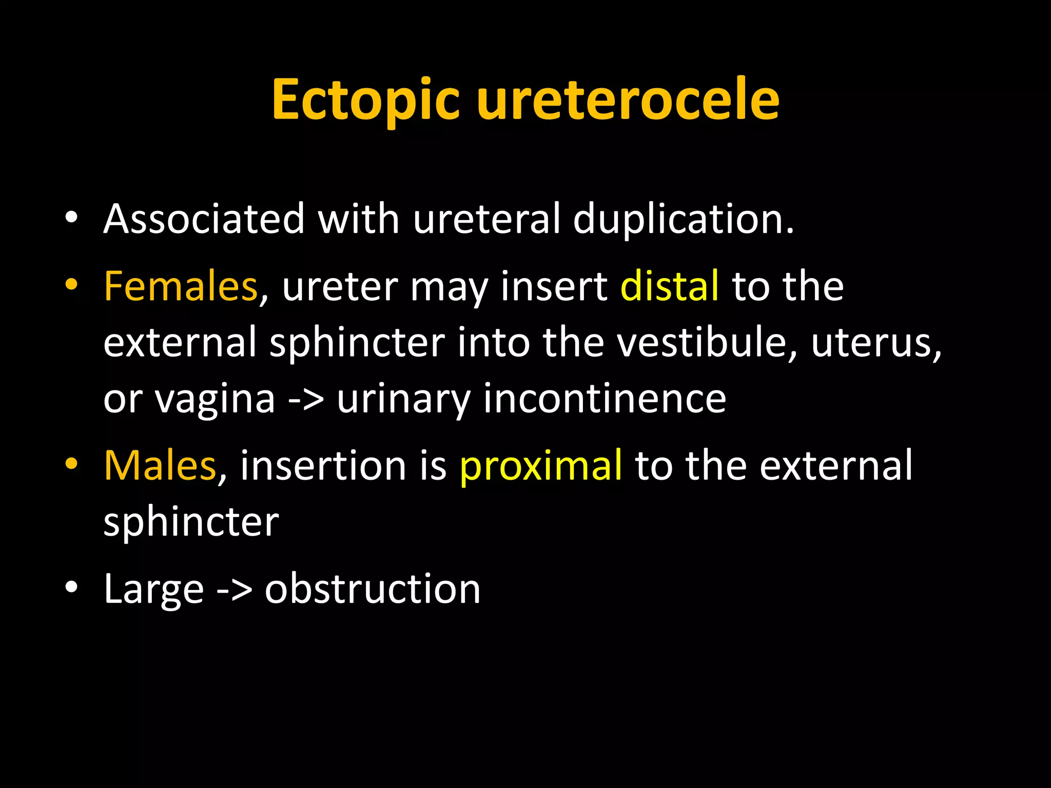 Urinary bladder pathologies | PPTX