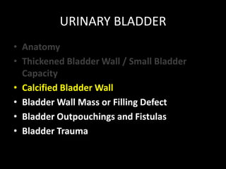 Urinary bladder pathologies | PPTX