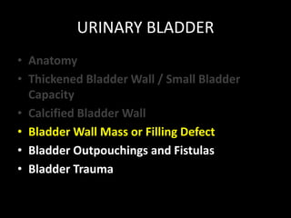 Urinary bladder pathologies | PPTX