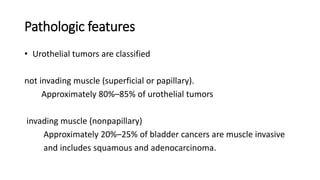 Urinary bladder pathology radiology | PPTX