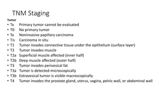 Urinary bladder pathology radiology | PPTX