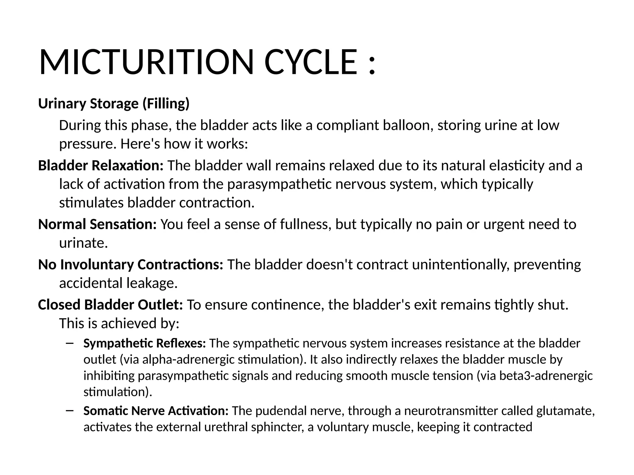 urinary bladder anotomy and patho physiology ppt.pptx