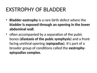 urinary bladder anotomy and patho physiology ppt.pptx