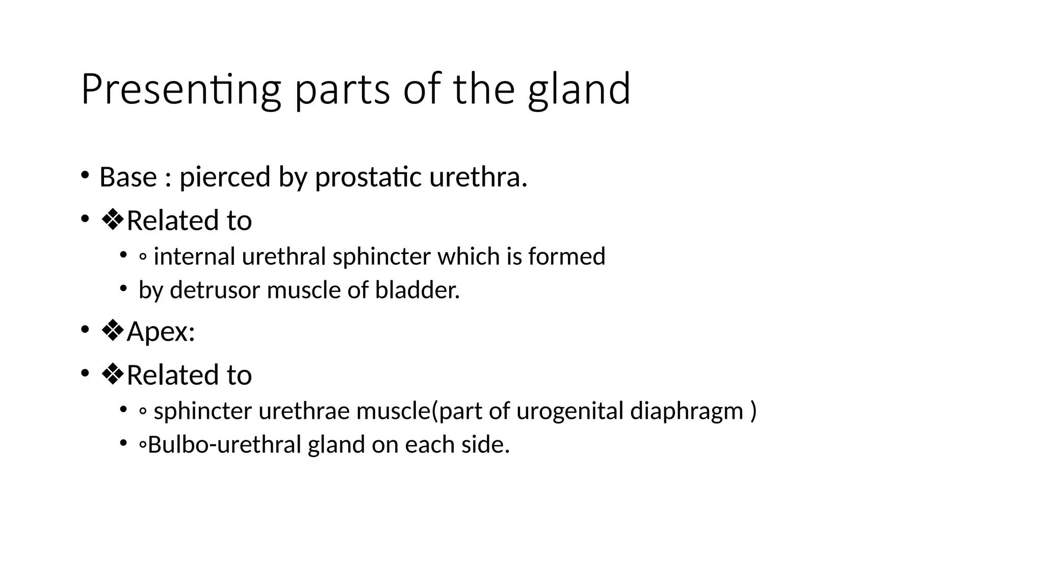 surgical anatomy of urinary bladder, prostate, urethra.pptx