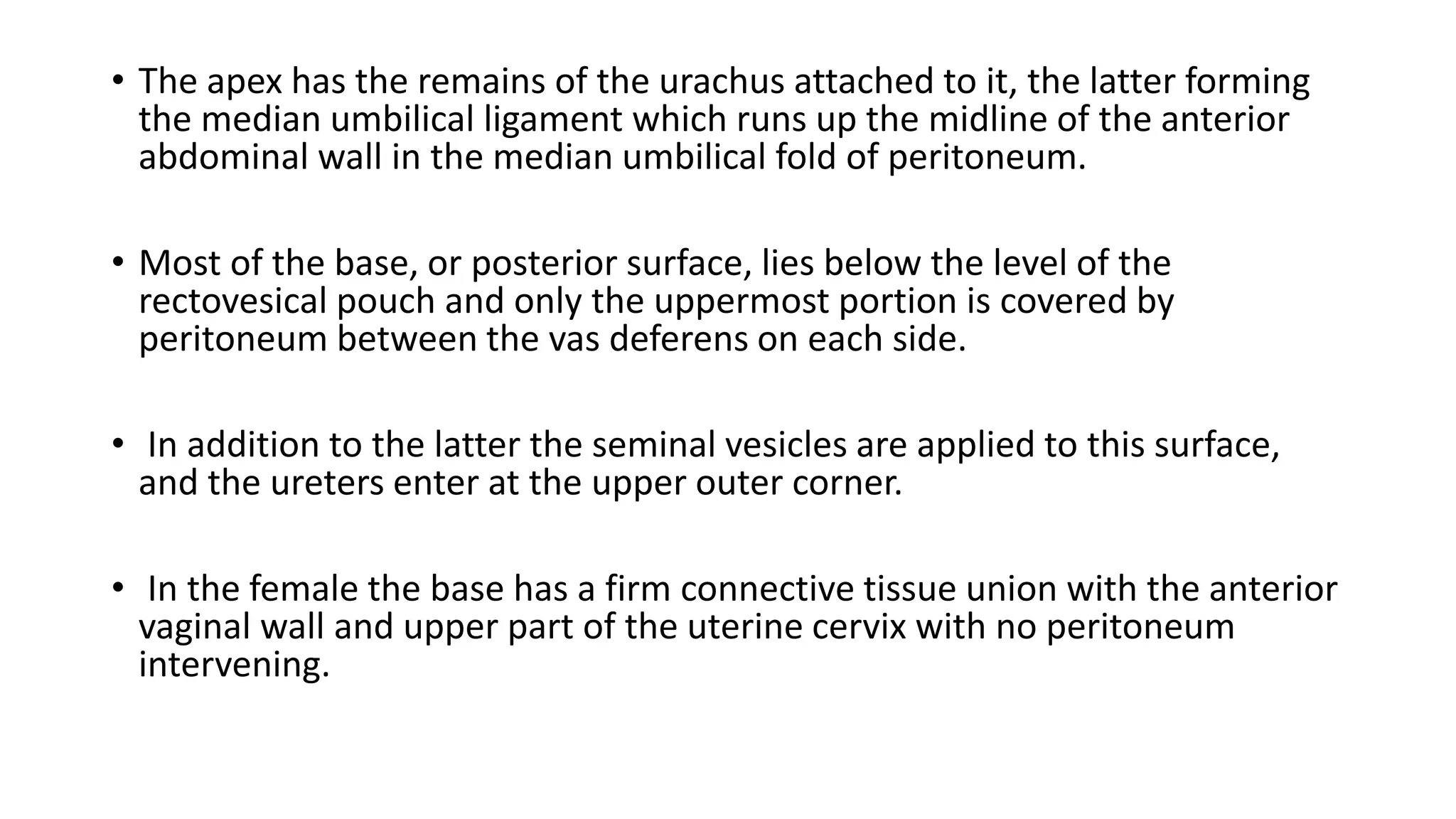 Urinary bladder, rectum and anal canal.pptx