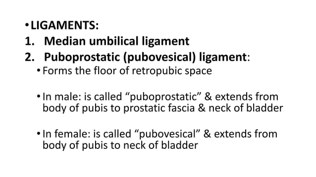 Urinary bladder, rectum and anal canal.pptx