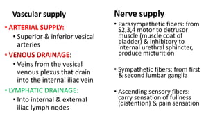 Urinary bladder, rectum and anal canal.pptx