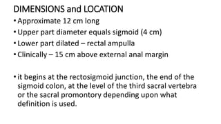 Urinary bladder, rectum and anal canal.pptx