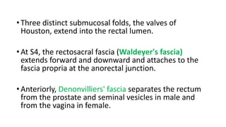 Urinary bladder, rectum and anal canal.pptx