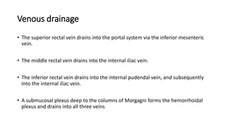 Urinary bladder, rectum and anal canal.pptx