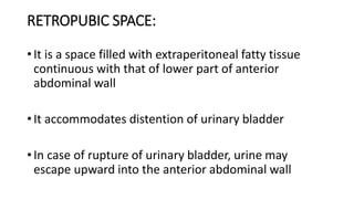 Urinary bladder, rectum and anal canal.pptx