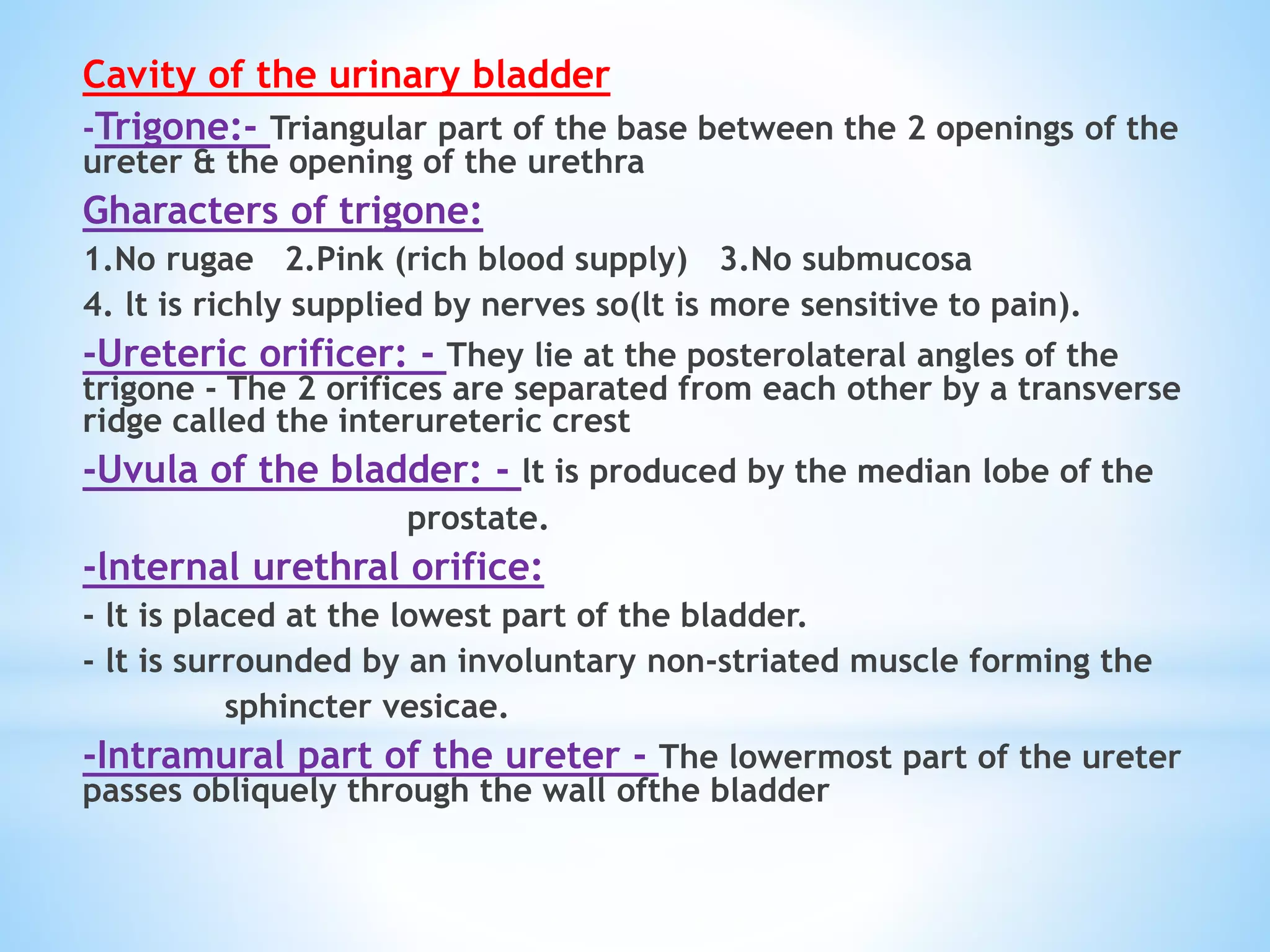 Urinary bladder trauma 2017 | PPSX