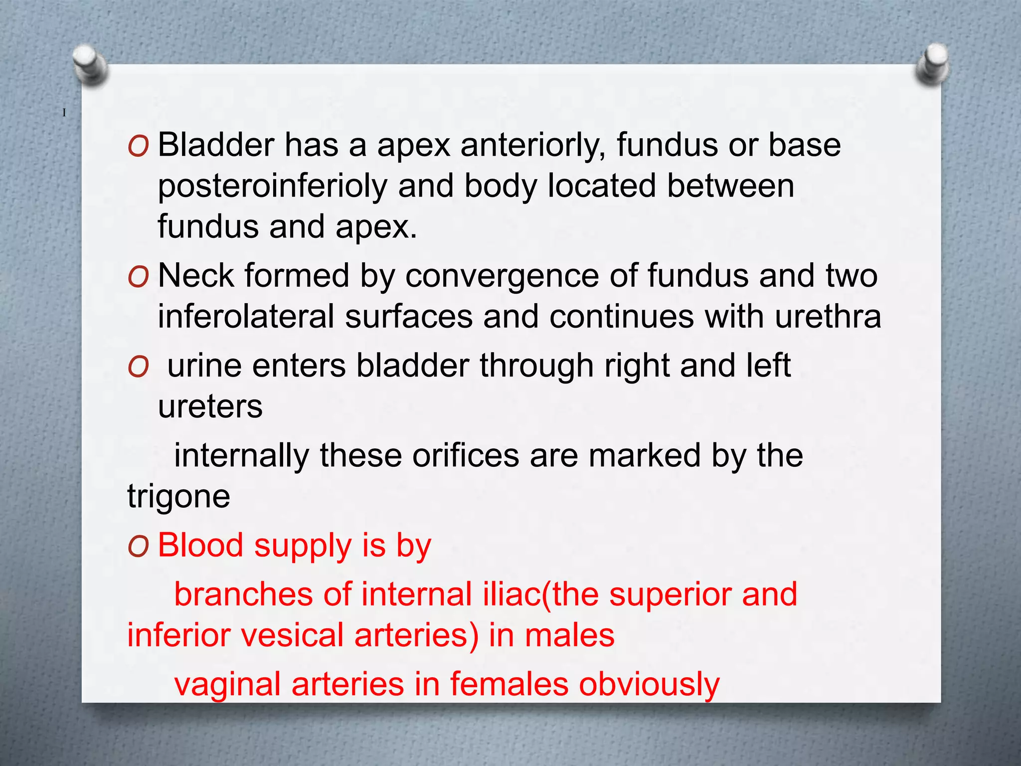 Urinary bladder tumors | PPTX