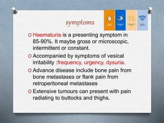 Urinary bladder tumors | PPTX