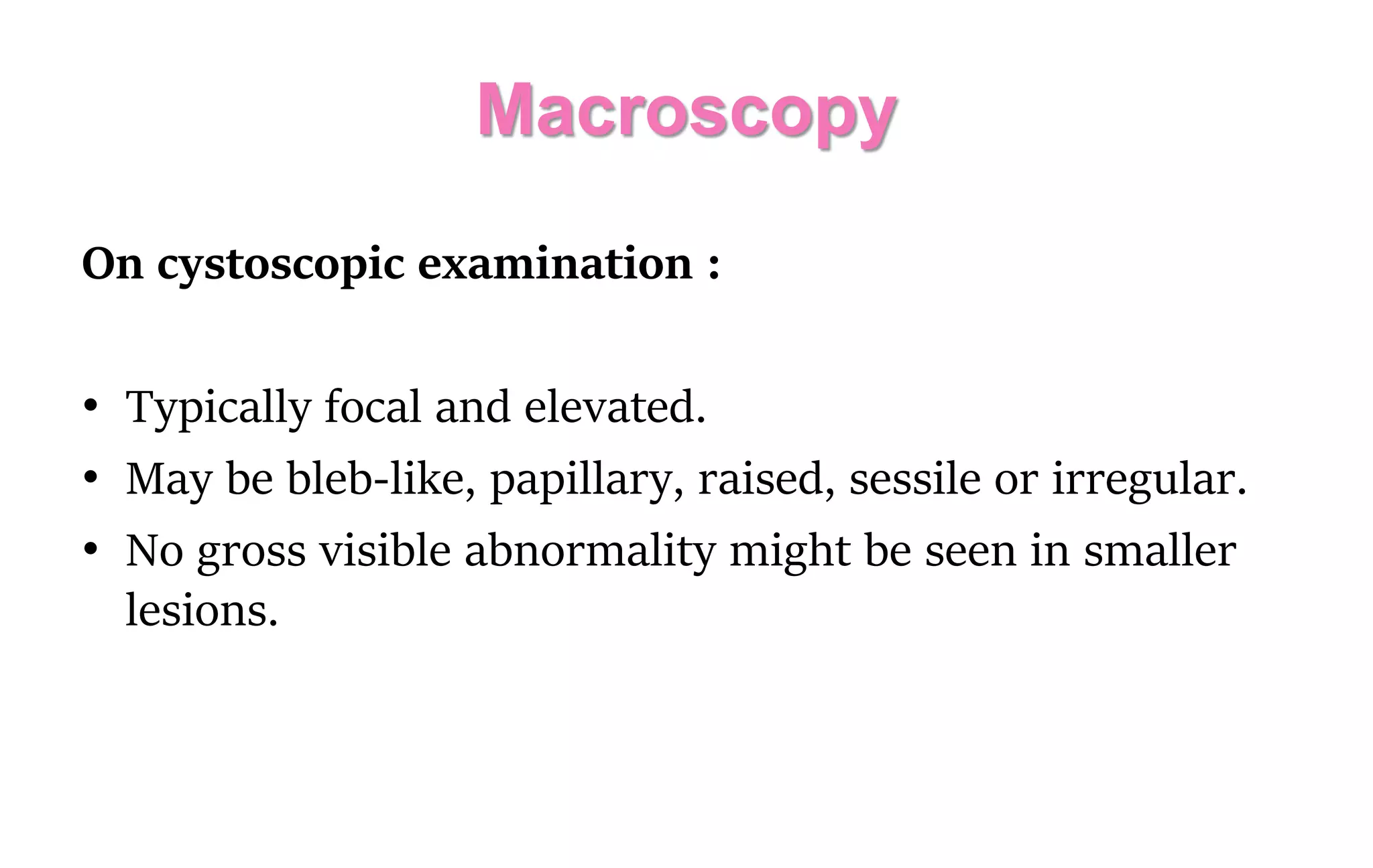 URINARY BLADDER TUMORS.pdf