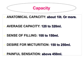 URINARY BLADDER & URETHRA PROF VKVS.pptx