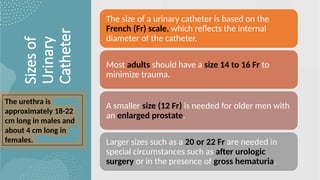 Urinary CatheterFGR56Y75TURTYRYYRTYRTYTYTRY | PPTX