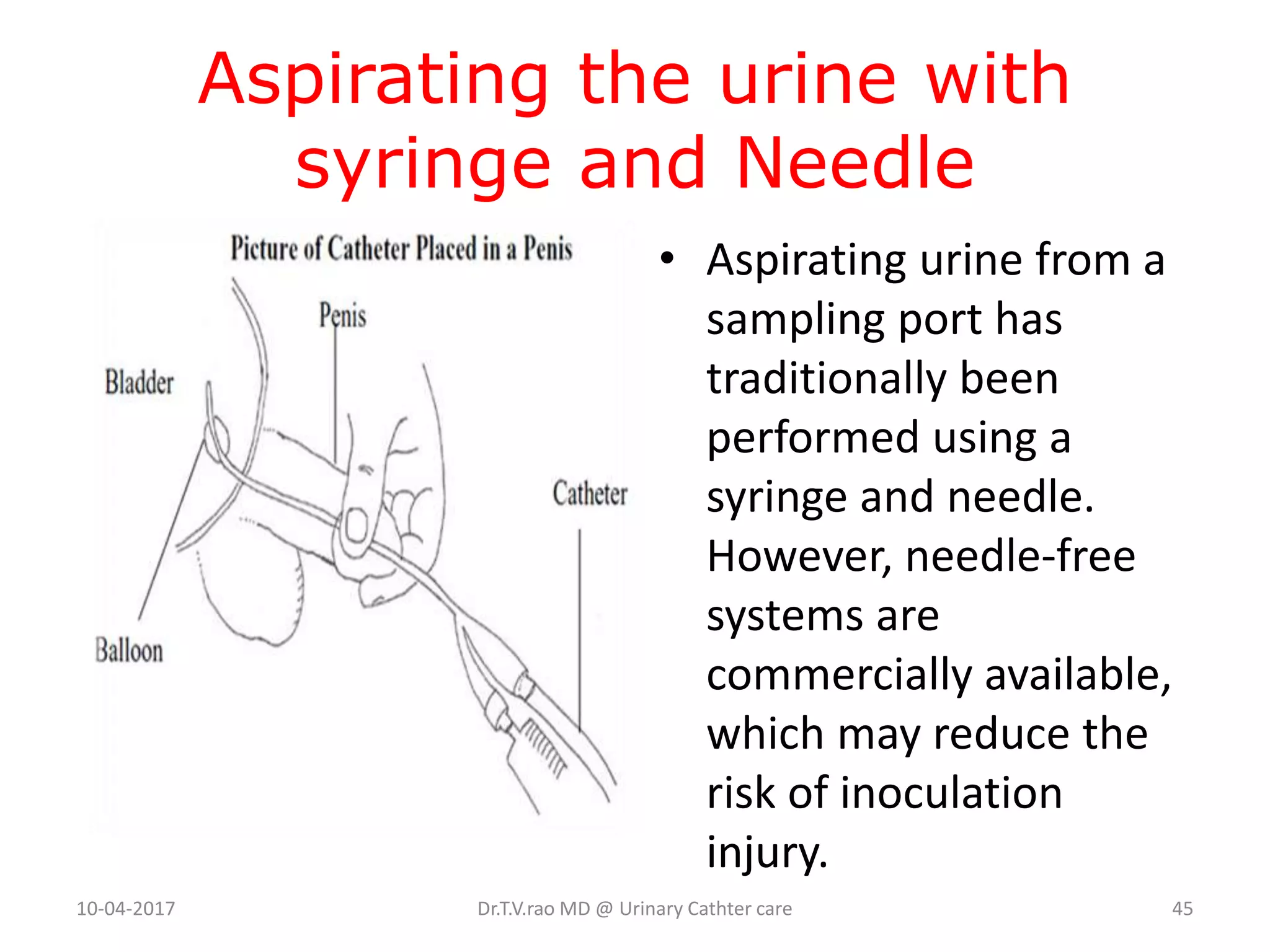 Urinary Catheter Care Principles of Care and Asepsis | PPTX