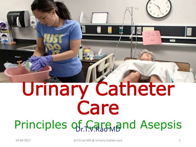 Urinary Catheter Care Principles of Care and Asepsis | PPTX | First Aid ...