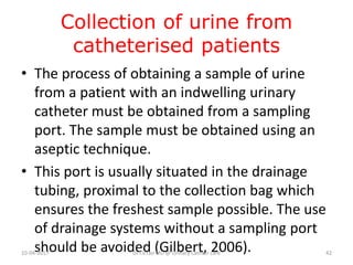 Urinary Catheter Care Principles of Care and Asepsis | PPTX