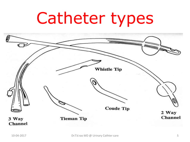 Urinary Catheter Care Principles of Care and Asepsis | PPTX | First Aid ...