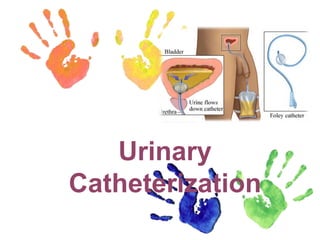 Urinary Catheterization | PPT