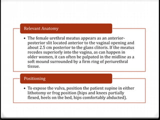 Urinary Catheterization | PPTX