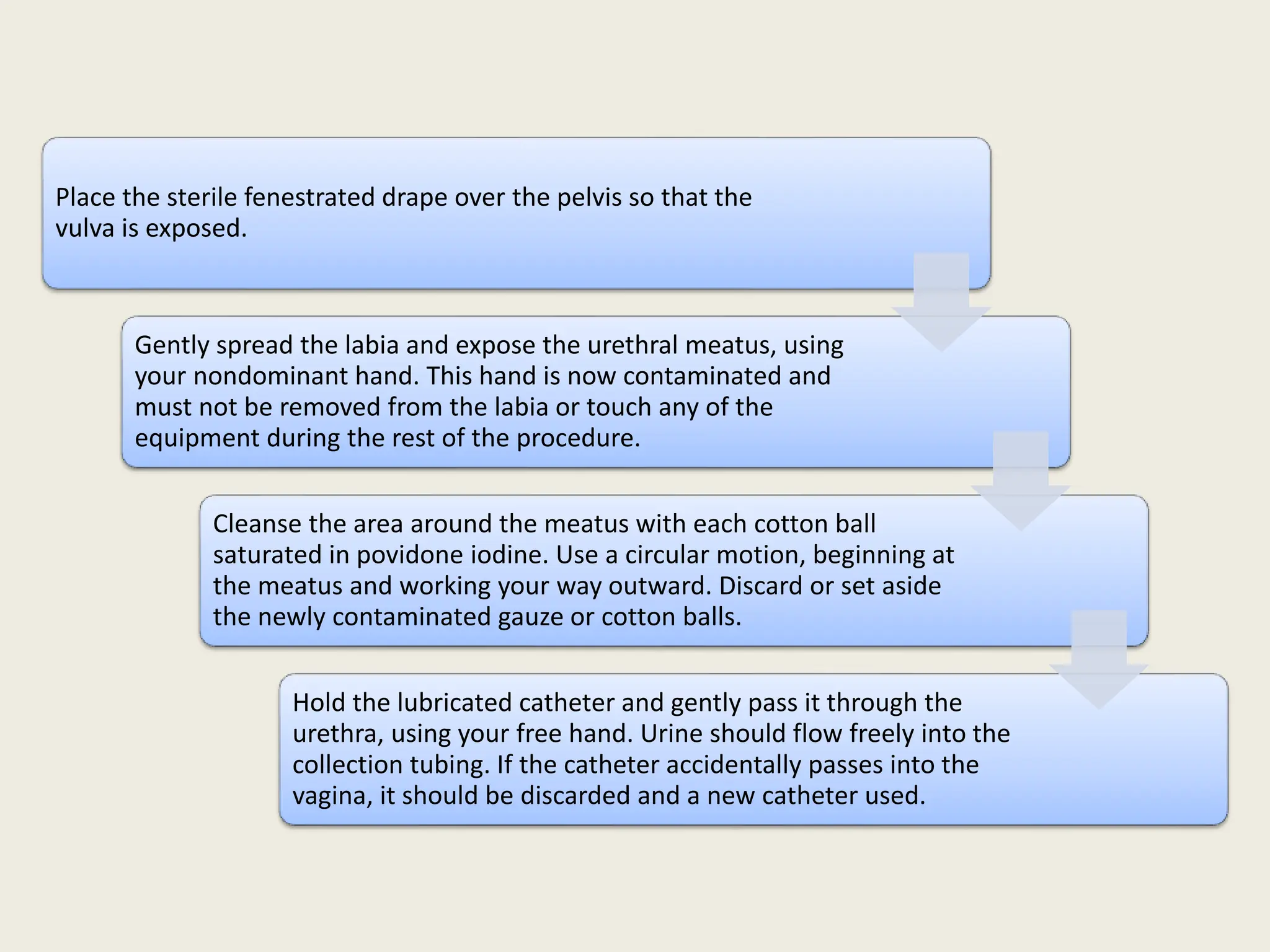 urinary SYSTEM catheterization PROCEDURE .pptx