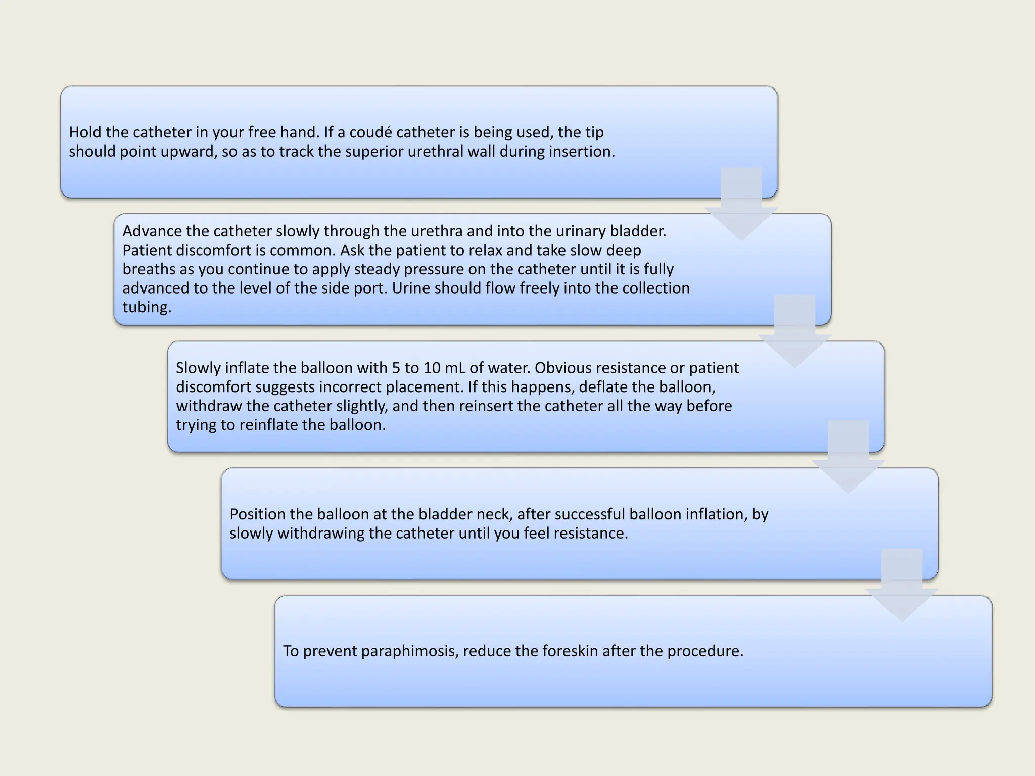 urinary SYSTEM catheterization PROCEDURE .pptx
