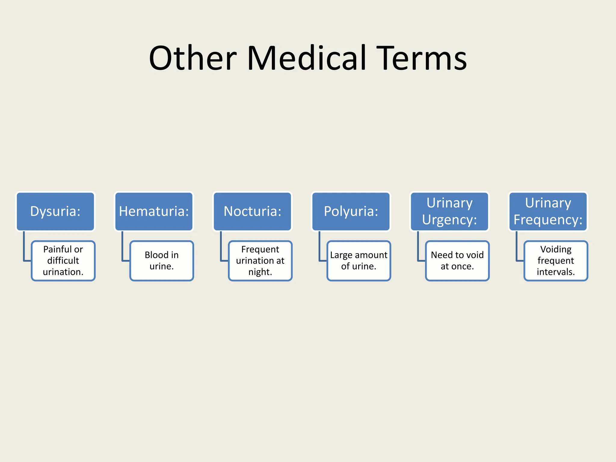 urinary SYSTEM catheterization PROCEDURE .pptx