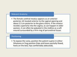 urinary SYSTEM catheterization PROCEDURE .pptx