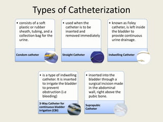urinary SYSTEM catheterization PROCEDURE .pptx