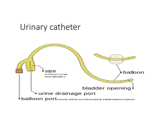 Mr. Ali Mushtaq urinary catheterization .pptx