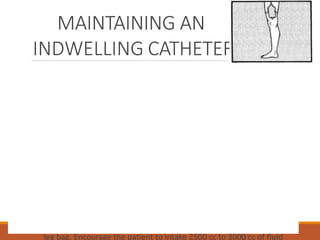 Urinary Catheterization-Training.pptx