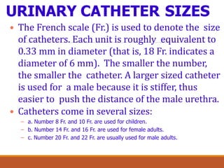 Urinary Catheterization-Training.pptx