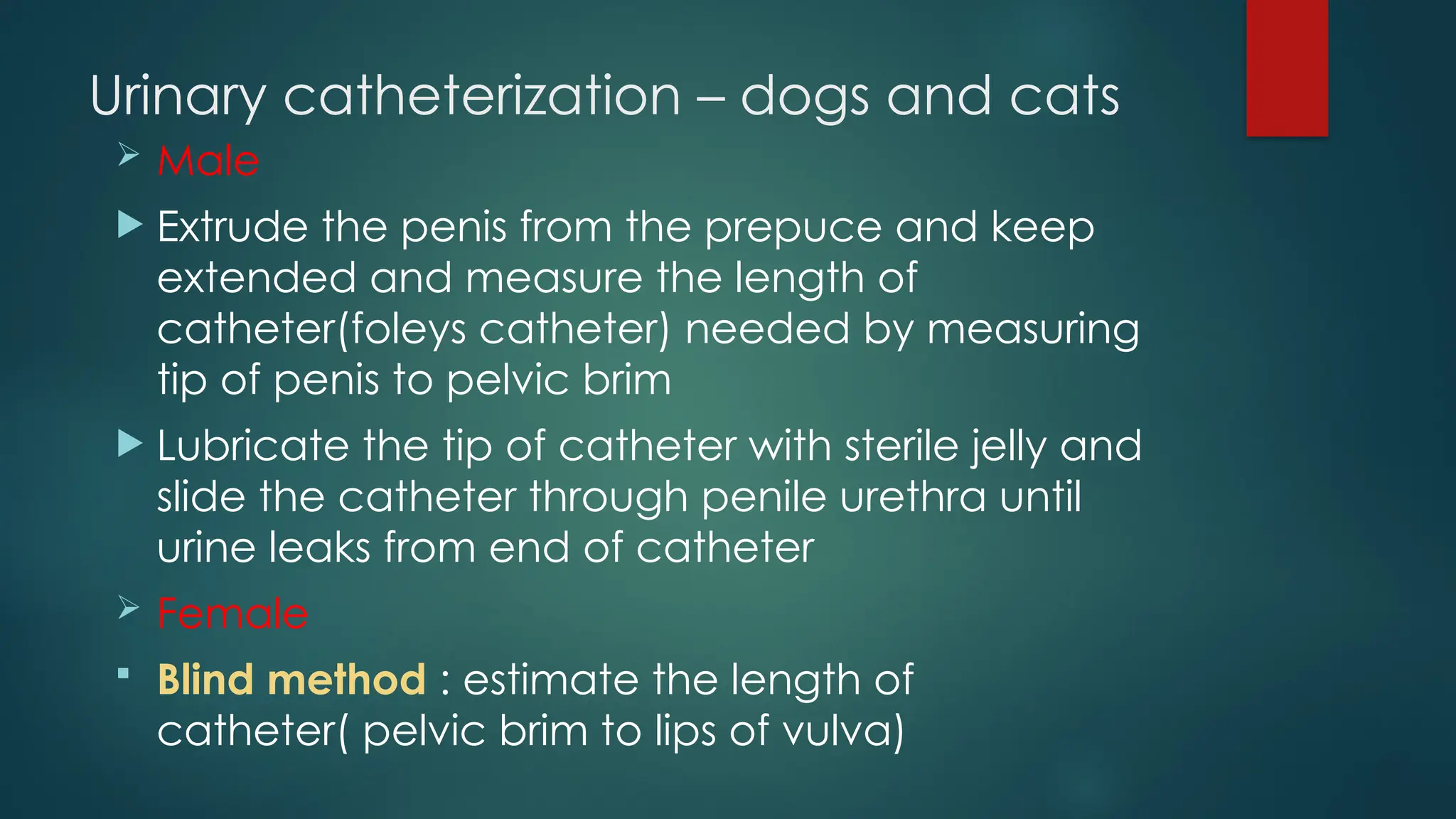 Urinary catheterization in male and female.pptx