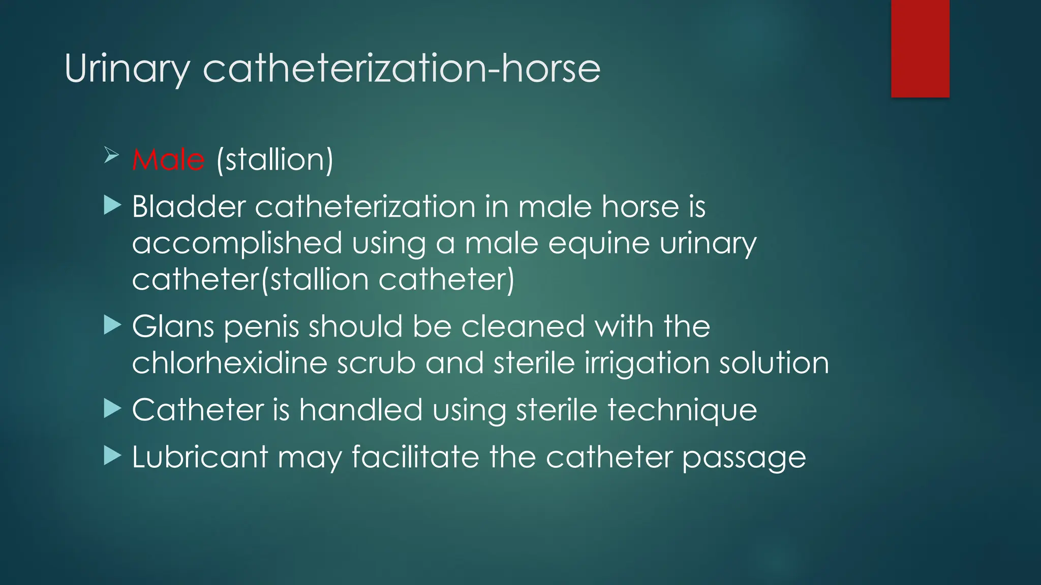 Urinary catheterization in male and female.pptx