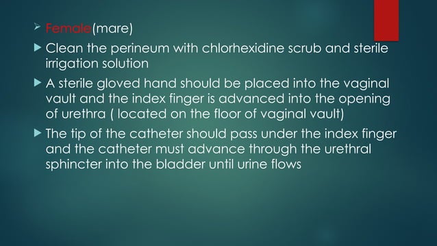 Urinary catheterization in male and female.pptx