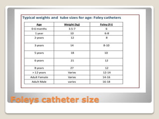 Urinary Catheterization Nursing Procedure & Management ppt.pptx
