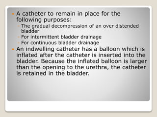 Urinary Catheterization Nursing Procedure & Management ppt.pptx