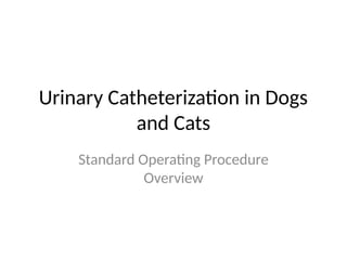 Urinary_Catheter_SOP_Presentation veterinary.pptx