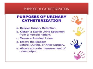 Urinary catteterization | PPTX