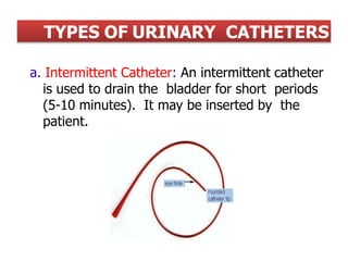 Urinary catteterization | PPT