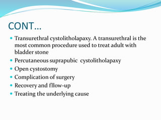 Urinary calculi by waheed | PPTX