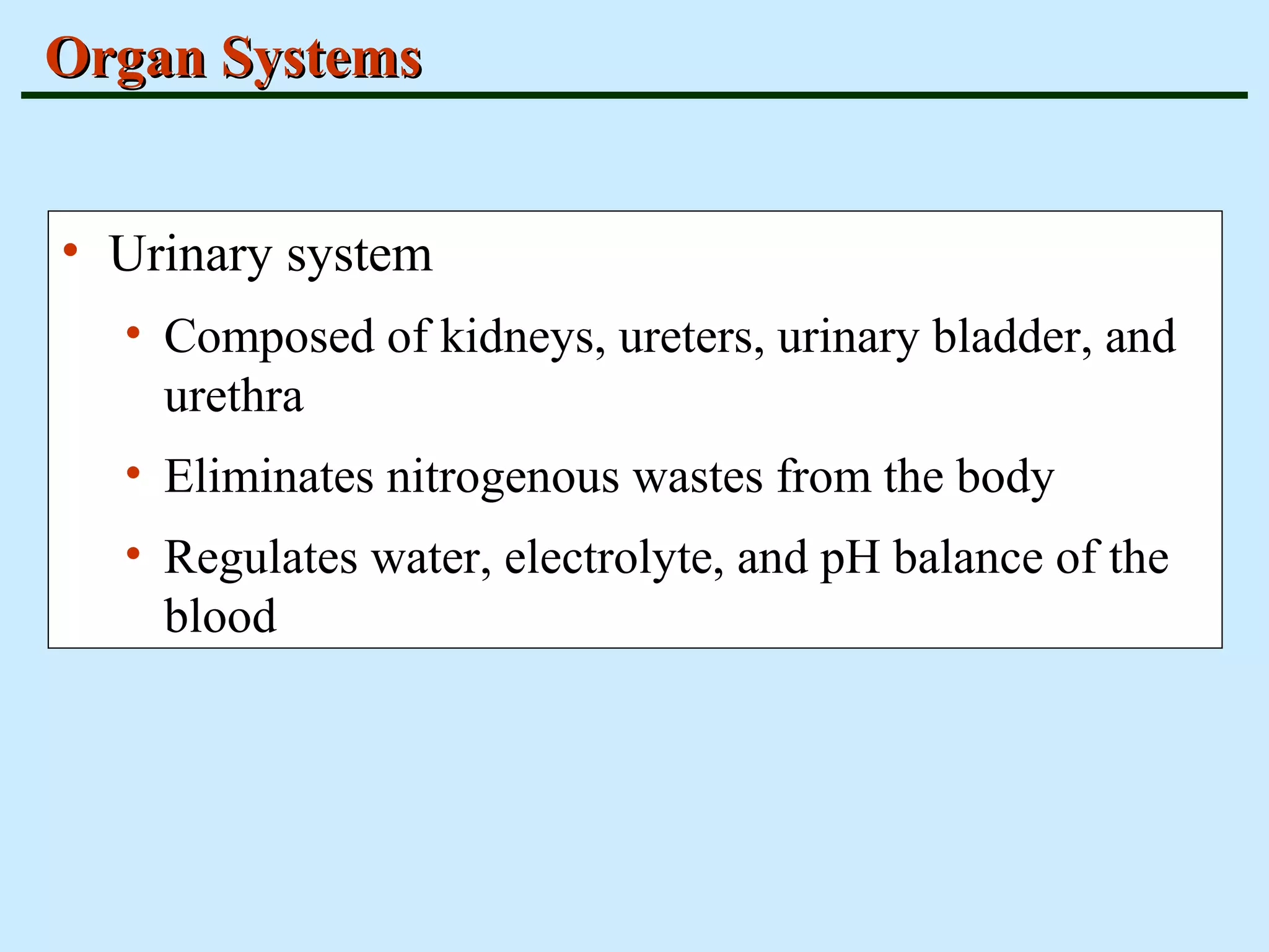 Urinary digestive musculor systs | PPT