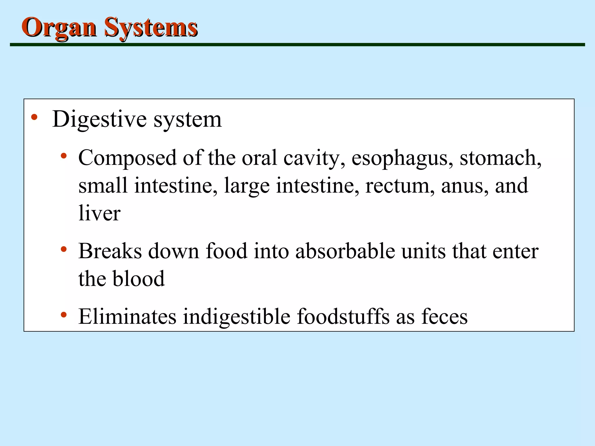 Urinary digestive musculor systs | PPT