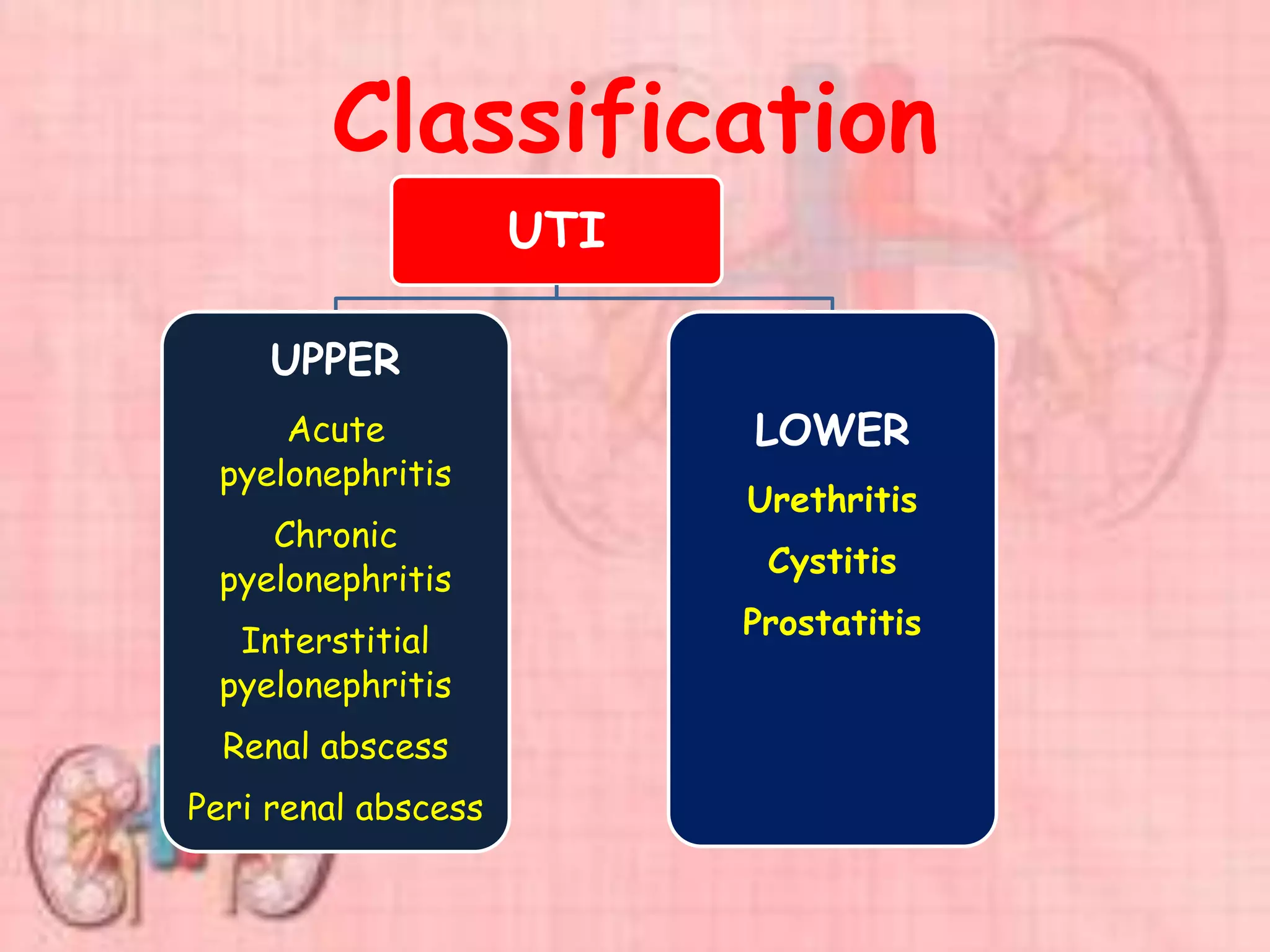 Urinary disorders | PPTX
