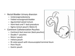 Urinary Diversion | PPT