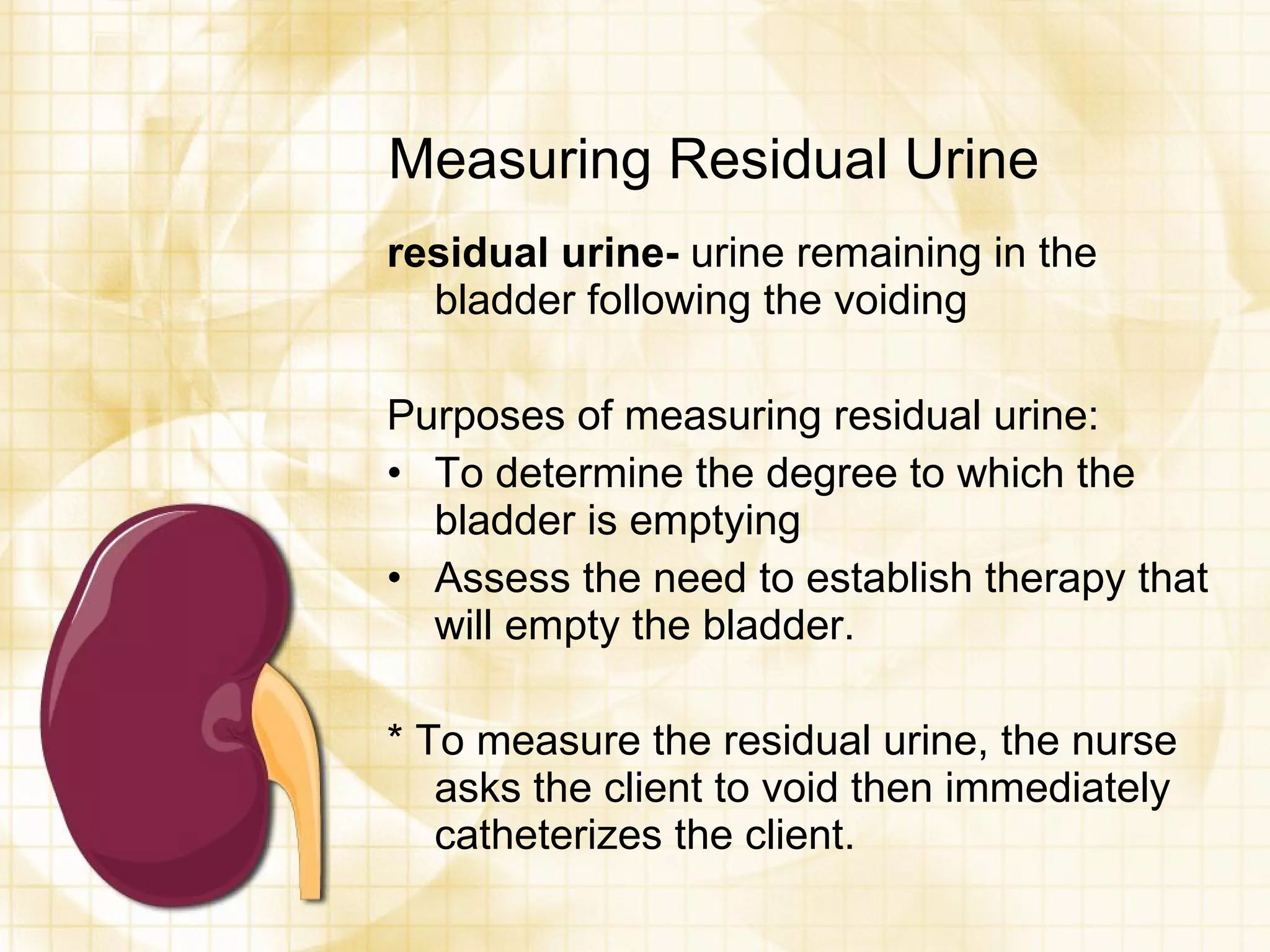 Urinary Elimination | PPT